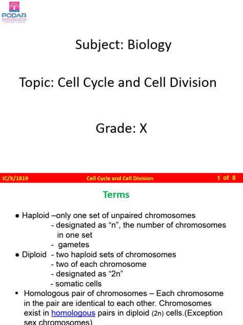 Icsexstructure Of Chromosomes Cell Cycle And Cell Division 3 Pdf