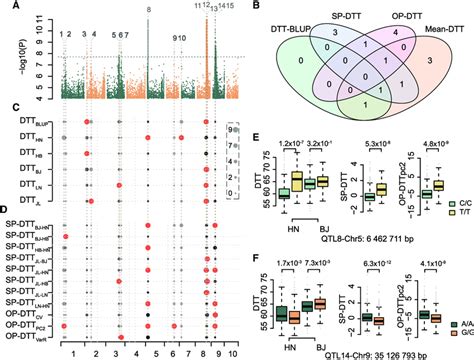 Summary Of The Qtls Associated With Mean And Plasticity Measures For Download Scientific