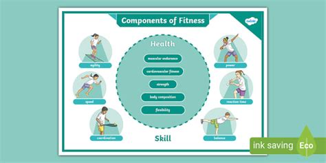 Components Of Fitness Poster Profesor Hizo Twinkl