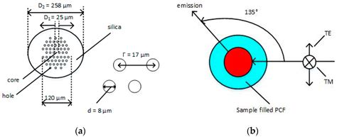 Advances In Random Fiber Lasers And Their Sensing Application