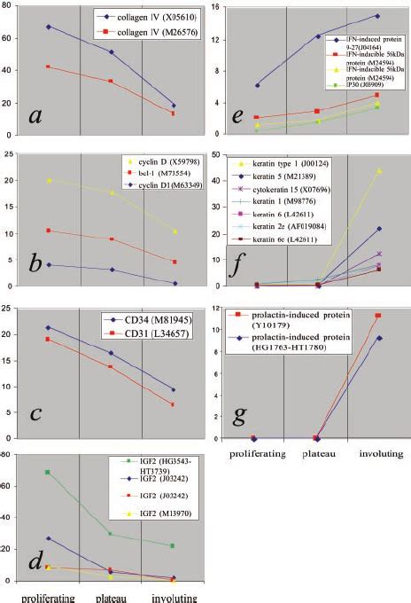 gene expression profiles of selected genes generated through dna