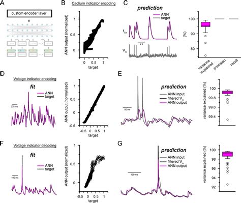 Figures And Data In Ultrafast Simulation Of Large Scale Neocortical