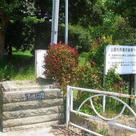 Tsuda Park All You Need To Know Before You Go 2024