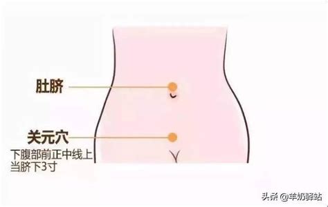穴位就是藥！18個對人體大補的穴位，一個穴位一張圖，5分鐘就懂