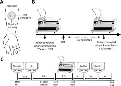 Eishi Asano On Linkedin [gamma Band Oscillations On Scalp Eeg] Gousset Et Al Based On The Low…