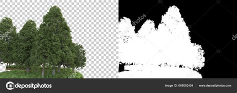 Trees Isolated Background Mask Rendering Illustration Stock Photo ChristianNastase 668092404