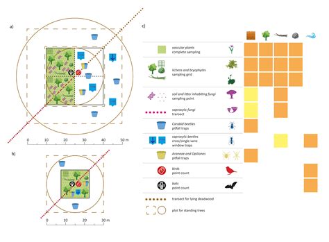 Bottoms Up We Cannot Reduce The Complexity Of Biodiversity But Can