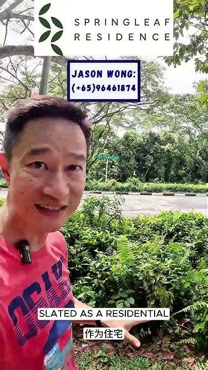 Discover All There Is To Gain At Springleaf Youtube