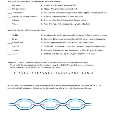 Solved Match the enzymes used in DNA Replication with their | Chegg.com