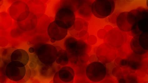 Elevated Lipase When Does It Become Dangerous For Your Health