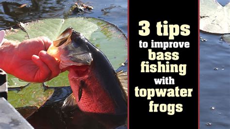 Keep These Tips In Mind To Improve Hookup Ratio