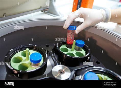 Centrifuge Dna And Rna Biobank Extraction And Storage Of Dnarna From