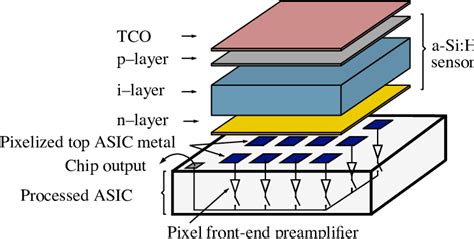 Schematic Representation Of The Tfa Structure Composed Of A P I N Download Scientific Diagram