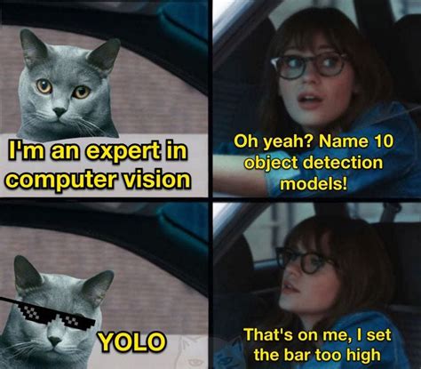 Memes Like Yolo