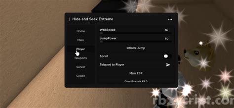 Hide And Seek Extreme Server Hop Teleports More Scripts RbxScript