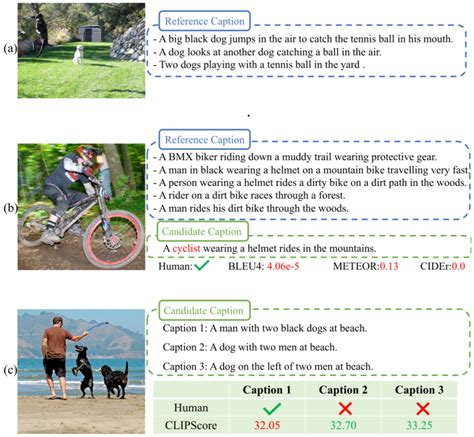 논문 리뷰 Evaluating Image Caption Via Cycle Consistent Text To Image
