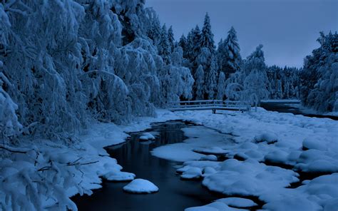 Картинки зима речка лес сумерки снег обои 2560x1600 картинка №71884