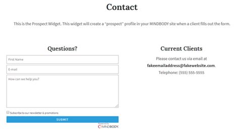 Best Practices For Widgets Branded Web Tools
