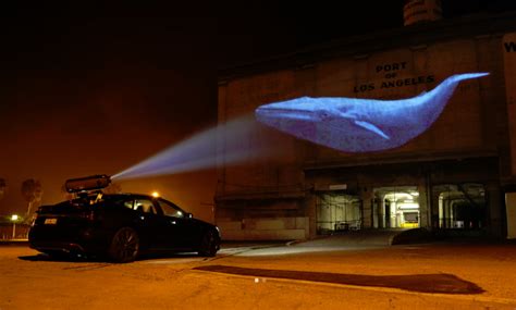 Racing Extinction