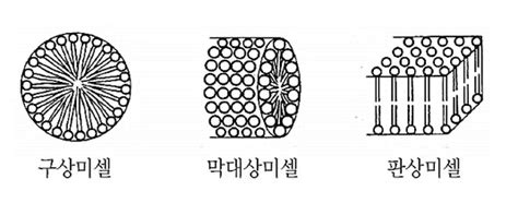 미셀 네이버 블로그