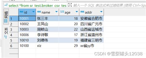 Starrocks文件导入之broker Loadstarrocks Broker Load Csdn博客