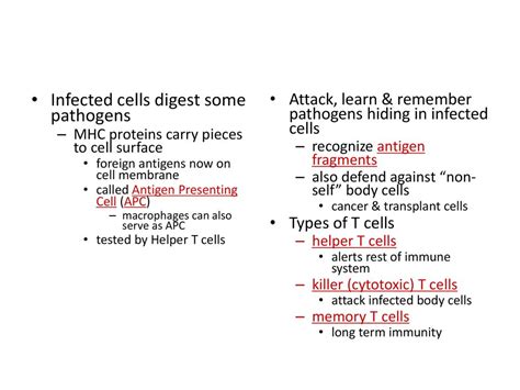 Immune Systems Part 2—specific Defense And Blood Typing Ppt Download