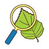 Tree Tools For Babes Woodland Trust