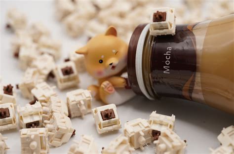 Rainy75 Cocoa Linear Switch Review Featured In Wobkey Rainy75 And