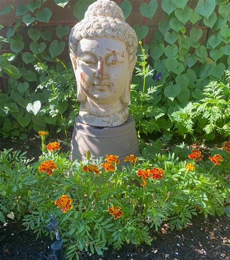 Flora Fauna The Flora Part Anyway Bijou Blog Gay History Gay