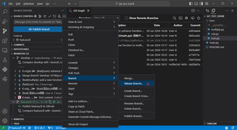 在vscode中使用git管理项目 Huffers Blog