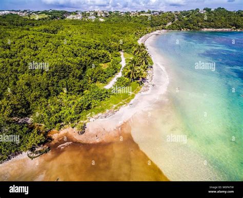 Francecaribbeanlesser Antillesguadeloupegrande Terrele Gosier