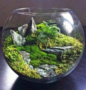 вечный террариум в банке - Поиск в Google | Beautiful terrariums ...