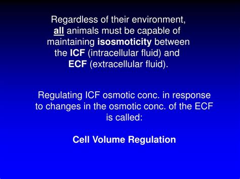 ppt osmotic and ionic regulation powerpoint presentation free