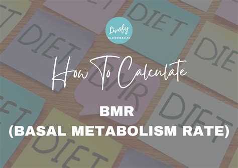 How To Calculate BMR Meaning Working Formula More Livofy
