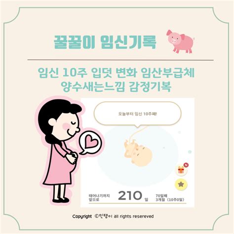 임신10주 증상 입덧 임산부 급체 소화불량 양수새는느낌꿀꿀이 임신일기 네이버 블로그
