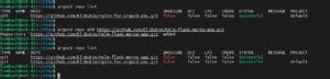 ArgoCD CLI Configuration And Usage