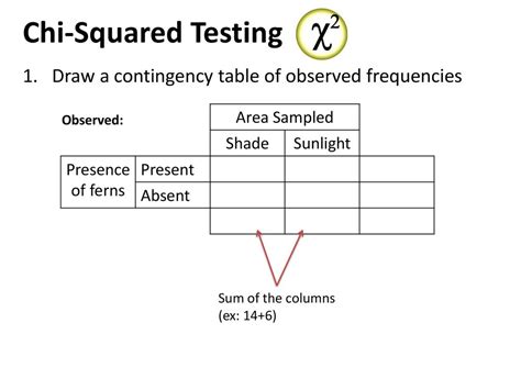 Quadrat Sampling And The Chi Squared Test Ppt Download