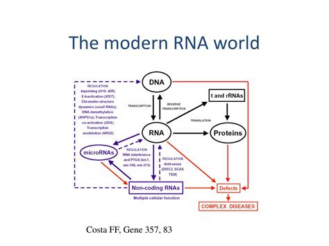 Ppt Count Data Analysis In The Small Rna Sequencing Powerpoint