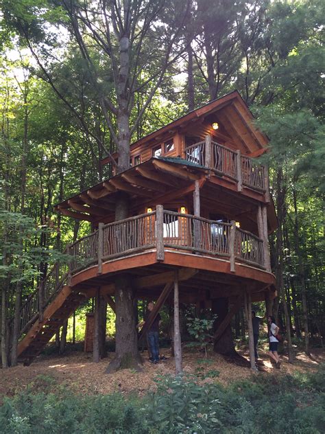 Meadow Moose Lodge Tree House Designs Tree House Diy Tree House Plans
