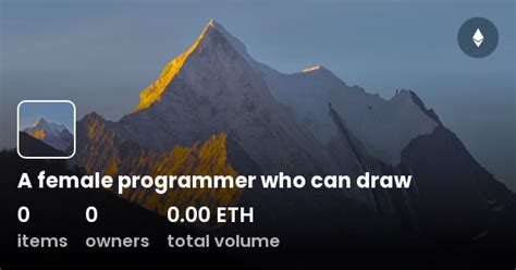 A Female Programmer Who Can Draw Collection Opensea
