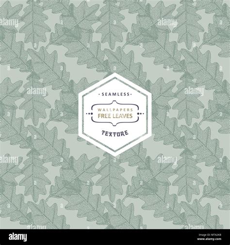 Aspen Tree Wood Texture Stock Vector Images Alamy