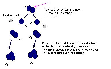 Chemical Makeup Of Ozone Layer Mugeek Vidalondon
