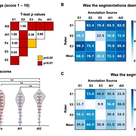 a the mean segmentation rating scores for the three experts and two