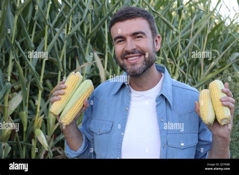 Farmer In Beautiful Corn Fields Stock Photo Alamy