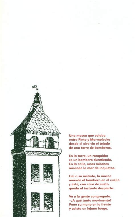 Pin en Lecturas de 9 a 11 años