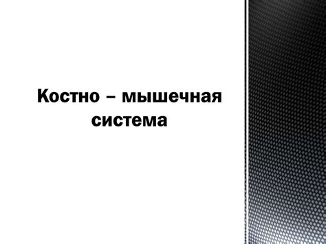 Костно - мышечная система - презентация онлайн