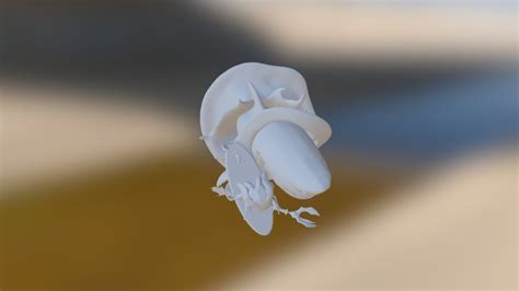 Fizz With Ulti 3d Model By Succat [2f02020] Sketchfab