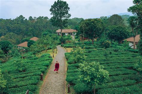 6 Best Ayurveda Resorts In Kerala For A Rejuvenating Retreat