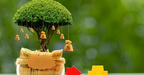 Financiamiento Para Pymes Qué Es El Leasing Y Cómo Sacarle Provecho