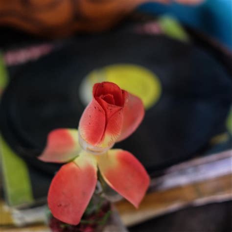 ‎despojo Do Re Mi Fa Sol [feat Miguel Zenon And Henry Cole] Single By Hermes Ayala On Apple Music